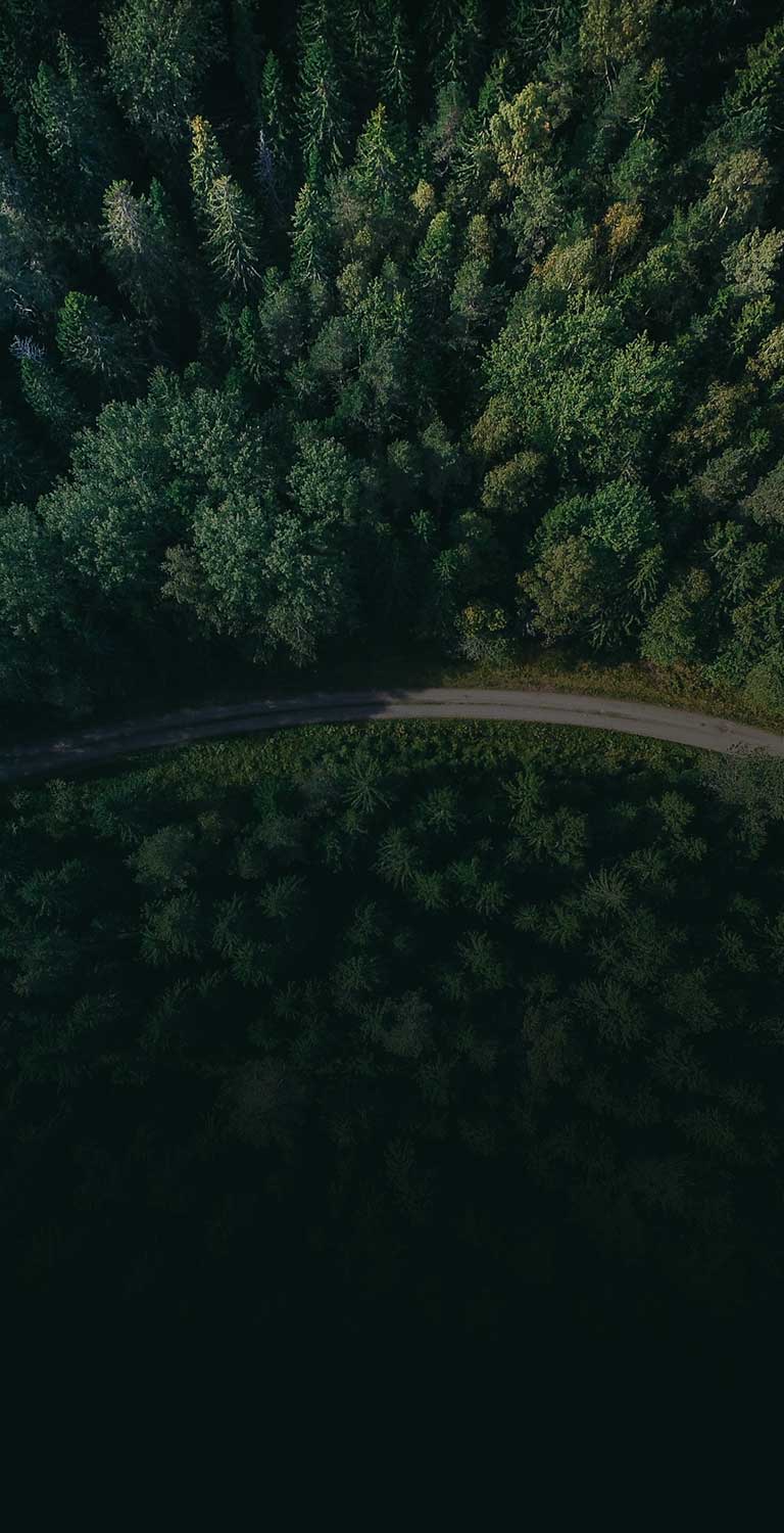 Best video editing software for Windows – at any level of experience